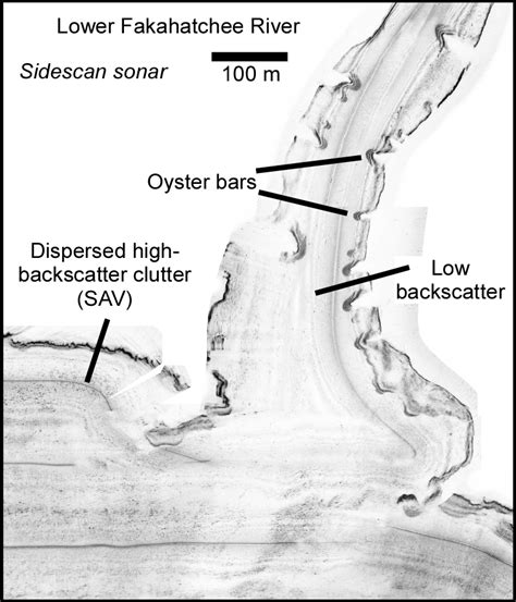 Sidescan Sonar Imagery At The Mouth Of The Fakahatchee River This Download Scientific Diagram