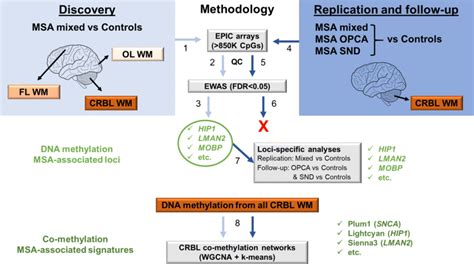 Flowchart Of The Analysis Process In A Multi Stage Multiple System