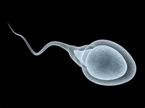 18 Facts About Greg Universe Steven Universe