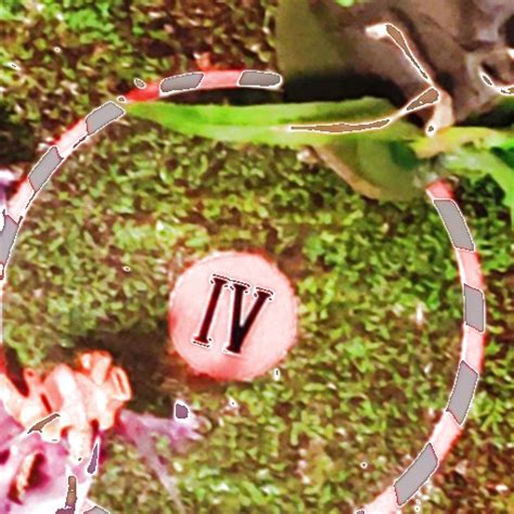 War Detection Object Detection Dataset By Models