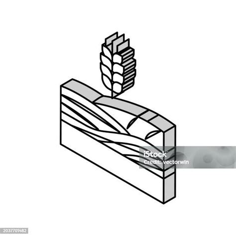 밀 성장 분야 아이소 메트릭 아이콘 벡터 일러스트 레이 션 가방에 대한 스톡 벡터 아트 및 기타 이미지 가방 고급 곡초류 Istock