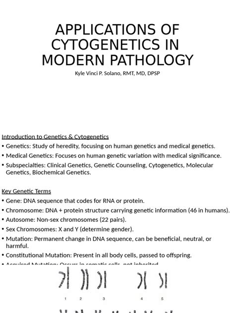 Molercular Cytogenetics Pathology Pdf Fluorescence In Situ Hybridization Cytogenetics
