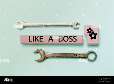 Sign Displaying Like A Boss Business Idea Acting As If You Are The One Giving Orders In Job Or