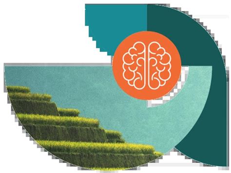 Les Neurones Els Components Bàsics De La Ment