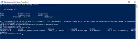 Persisting Data In Docker Containers Part One Dba From The Cold