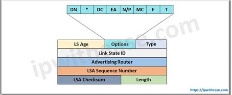 OSPF BIT Types Explained IP With Ease