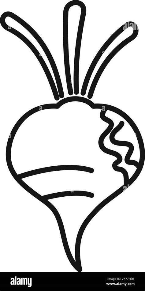 Simple And Modern Black And White Line Drawing Of A Beetroot Perfect