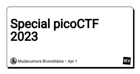 special picoctf 2023 r devto