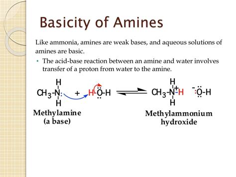 Ppt Chapter 8 Amines Powerpoint Presentation Free Download Id 5478688