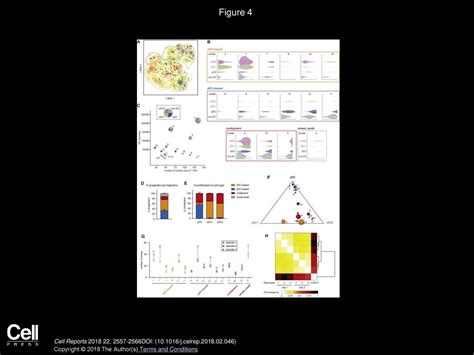 Volume 22 Issue 10 Pages March 2018 Ppt Download