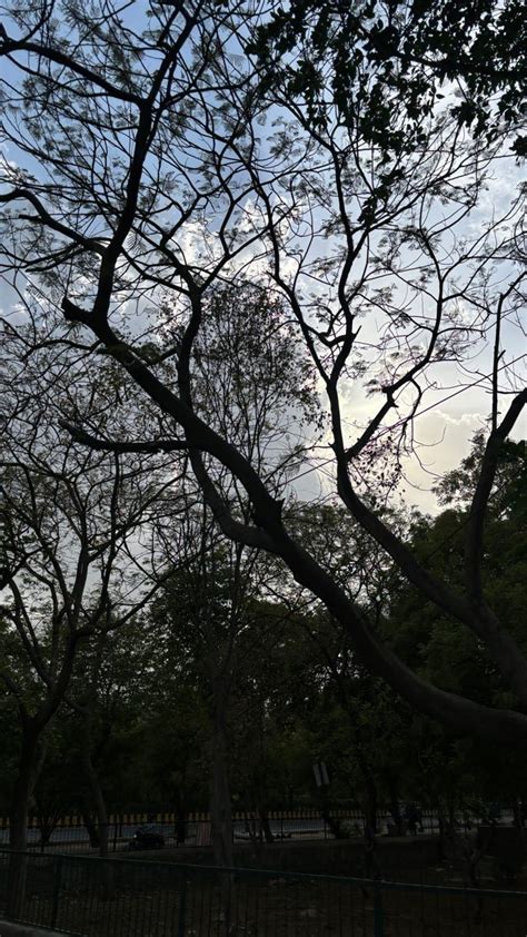 Priyanshu Kumar Medium