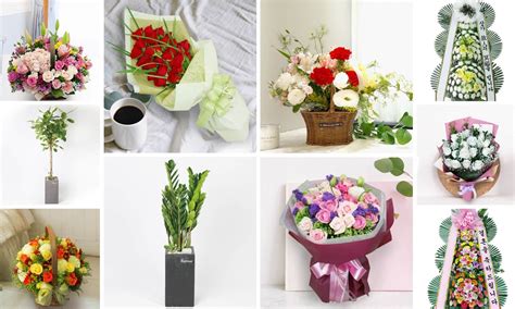 아산 꽃배달 당일 배송 서비스 추천 정성꽃배달 전국 꽃바구니 꽃배달 화환 화분