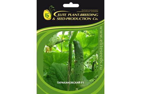 Таракановский F1 семена огурца 500 шт ЭС мини ELITE PLANT-BREEDING ...