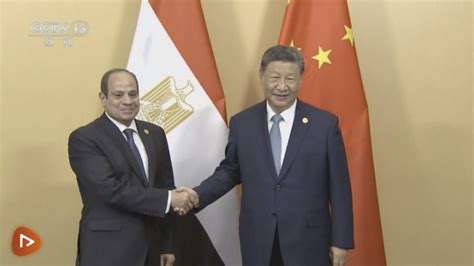 习近平会见埃及总统塞西 中国日报网