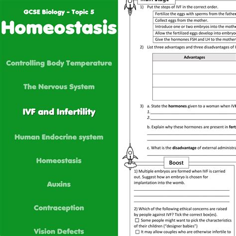 Ivf And Infertility Home Learning Worksheet Gcse Uk