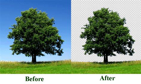 Clipping Design Blog