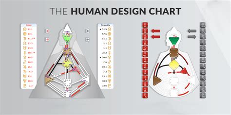 How Can You Get A Free Personalized Human Design Chart And What Does It