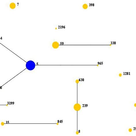 distribution of sequence types sts in the clone complexes notes the
