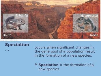 Speciation Ppt By BioDiva TPT