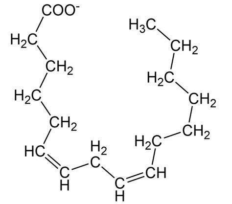 Solved H₂C COO CH₂ H₂C HC CH₂ UI H₂ C CH H C CH₂ H₂C H₂C Chegg com