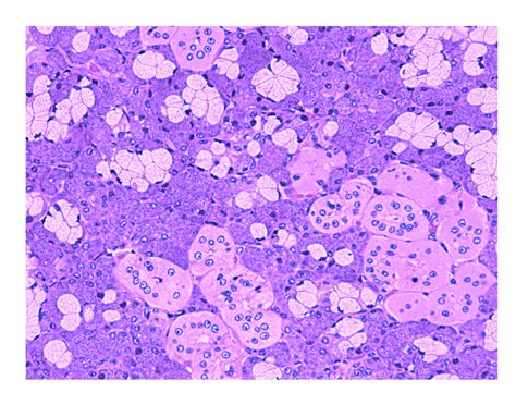Lab Test 2 Spring 2024 Diagram Quizlet