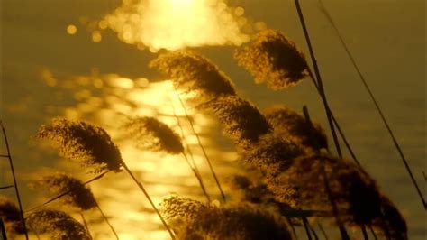 [멍 때려도 좋아] 강진 탐진강 Youtube