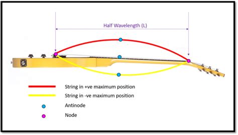 How Do Guitar Strings Produce Their Sound Fret Success Guitar Tuition