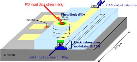 A Three Dimensional Schematic Of A Dual Diode Electroabsorption Download Scientific Diagram