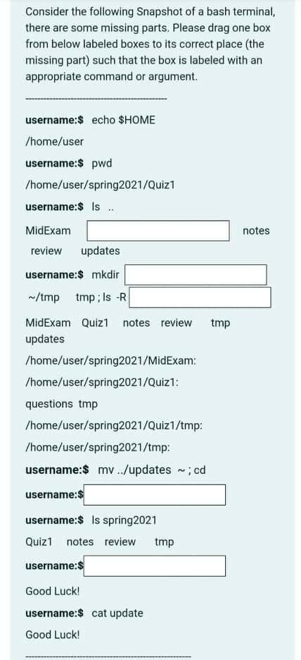 Solved Consider The Following Snapshot Of A Bash Terminal