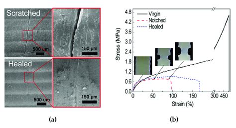 Sem Micrographs Of Self Healing Behaviour Of Printed Download