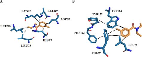 Deet Interaction Maps Of Representative Structure Of Md A And