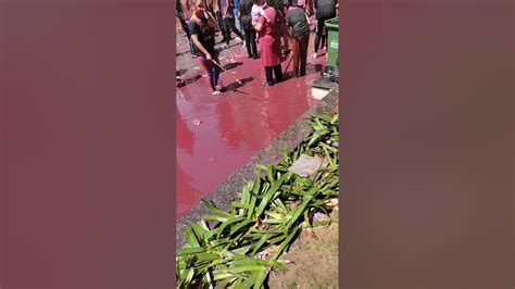 kabira sara ra ra adi n daddy holi shorts happyholi2022 and ashortaday youtube