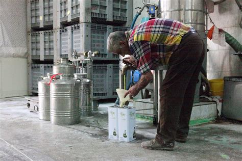 Tiziana Susca Live Evo Festival