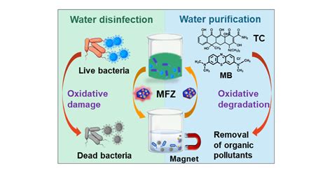 Magnetically Recoverable Multifunctional Mos2 Composite Nanosheets For Water Disinfection And