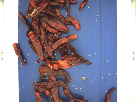 Rotten X Dataset Instance Segmentation Dataset By Pepperclass6