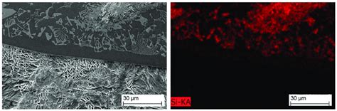 Energy Dispersive X Ray Spectrometry Mapping Of The Transition Zone Of