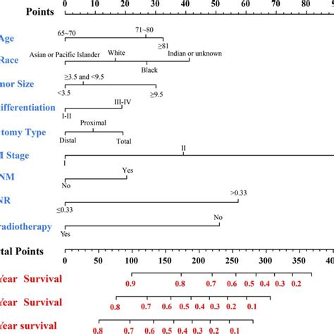 Nomogram For The Prediction Of 1 3 And 5 Year Css Rates Of Elderly