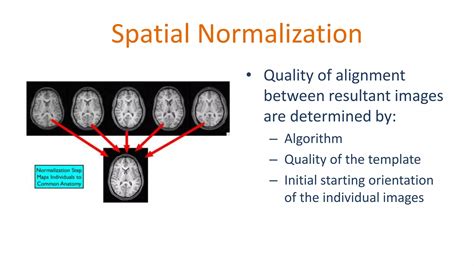 Introduction To Resting State Fmri Preprocessing And Analysis Pptx