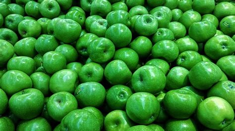 사과 녹색 신선한 Pixabay의 무료 사진 Pixabay