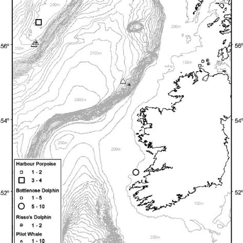 Cetacean Species Diversity Sightings Counts And Relative Abundance