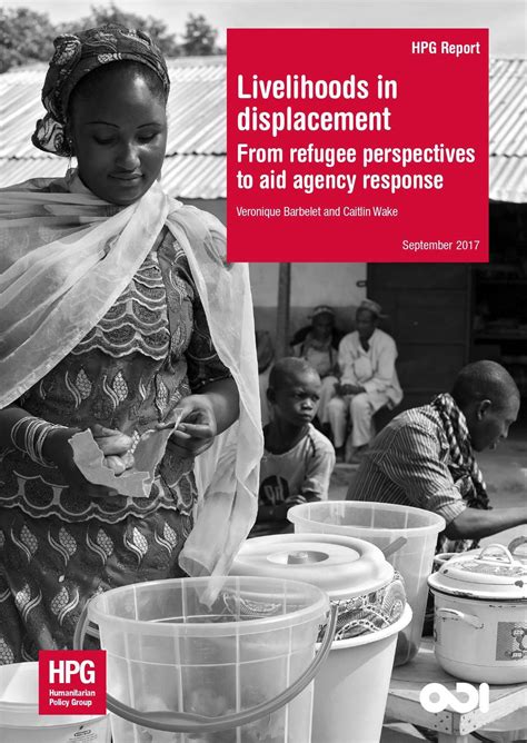Livelihoods In Displacement Redss