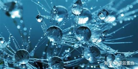 关于海藻糖，你想知道的五个问题 知乎