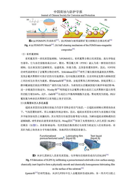 基于表面微结构复制与润湿性调控的水下仿生防污技术研究进展