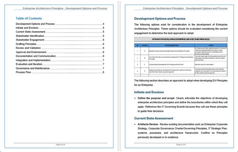 Cobit Enterprise Architecture Principles Development Options And Pr It Governance Framework