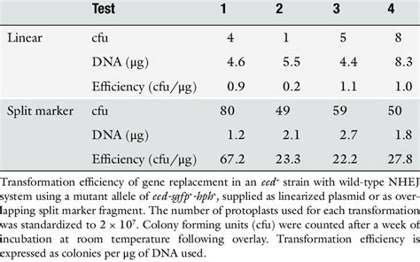Transformation Efficiency Obtained With Protocol 1 Download