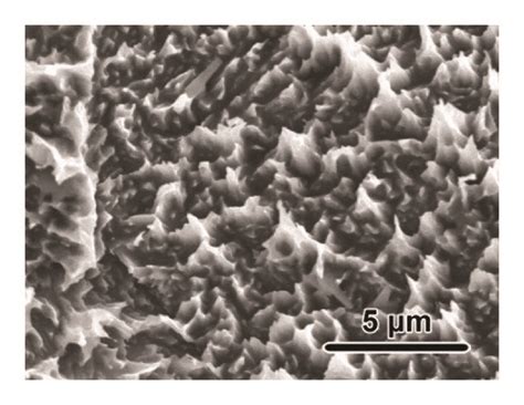 Surface Morphology Of Specimens Before And After Pretreatment A