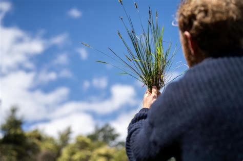 Premium Photo Soil Agronomy On A Farm In Australia In Spring