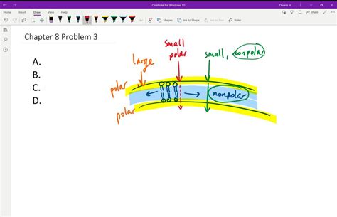 Solvedresting Membrane Potential Depends On The Differential