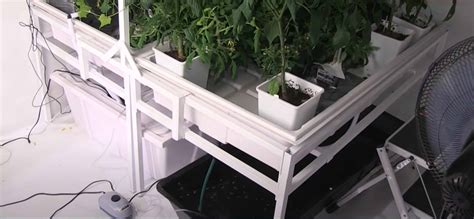 Plant Ebb Flow Flood And Drain Hydroponic System 50 Off