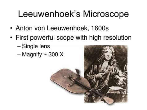 PPT Honors Biology Microscopes PowerPoint Presentation Free Download ID